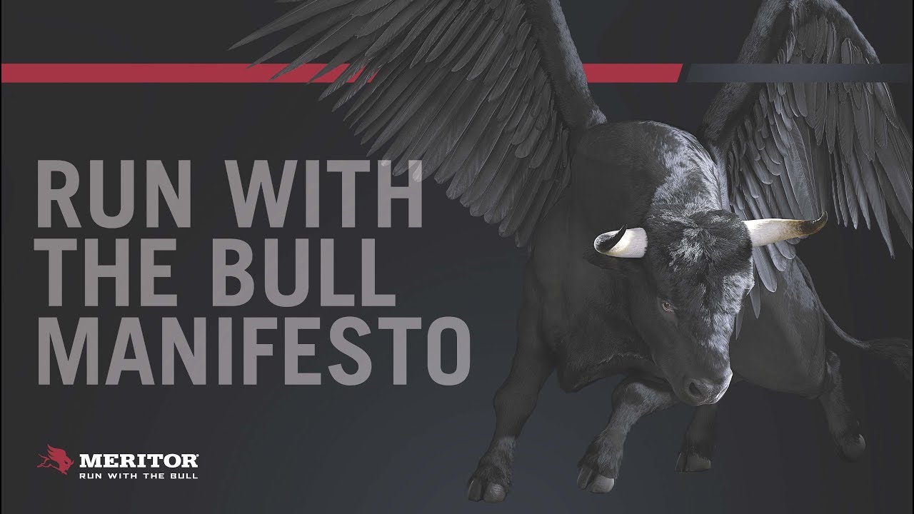 DISTRIBUIDOR OFICIAL MERITOR